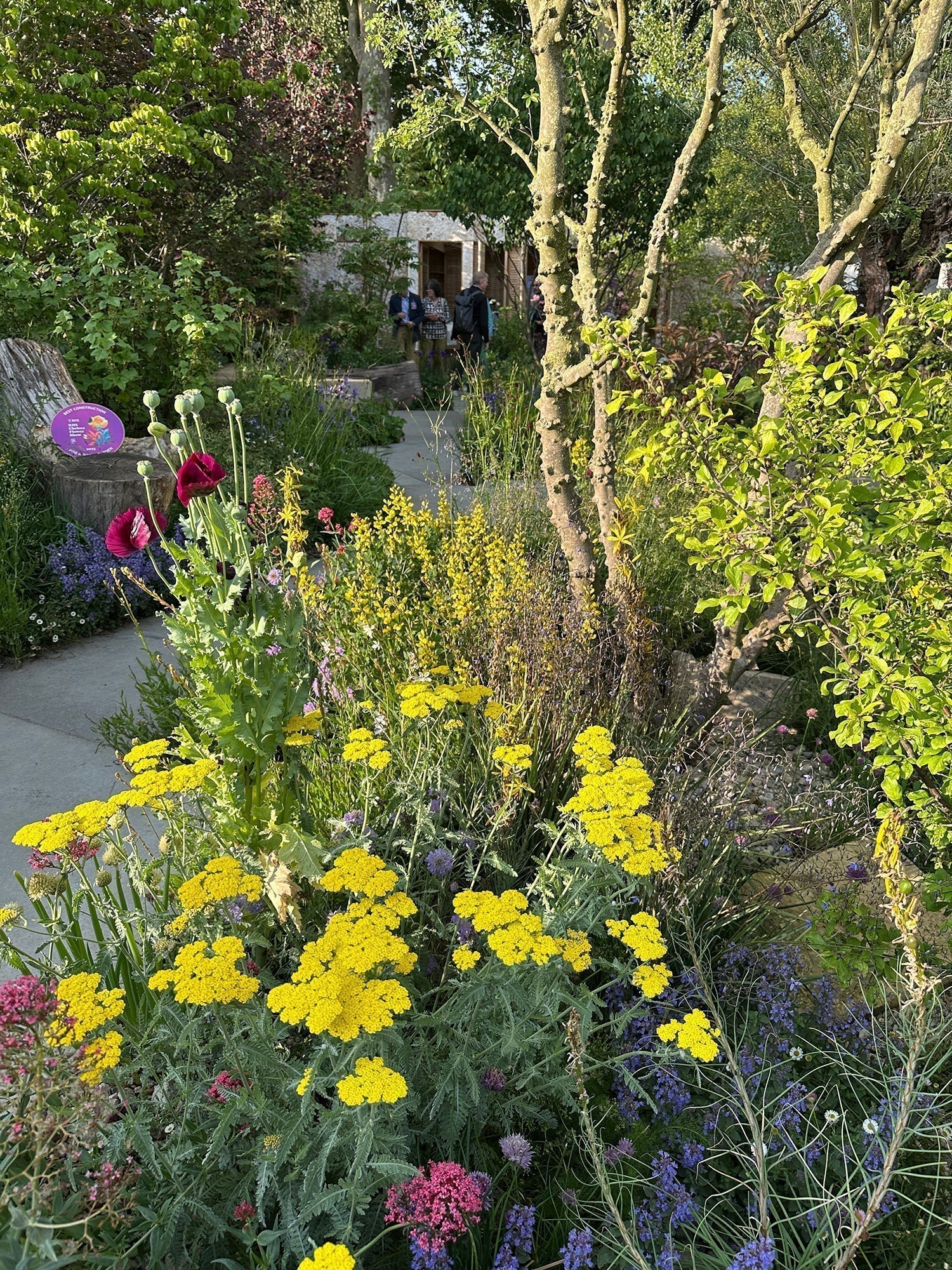 Chelsea Flower Show 2025 – Clarissa Hulse